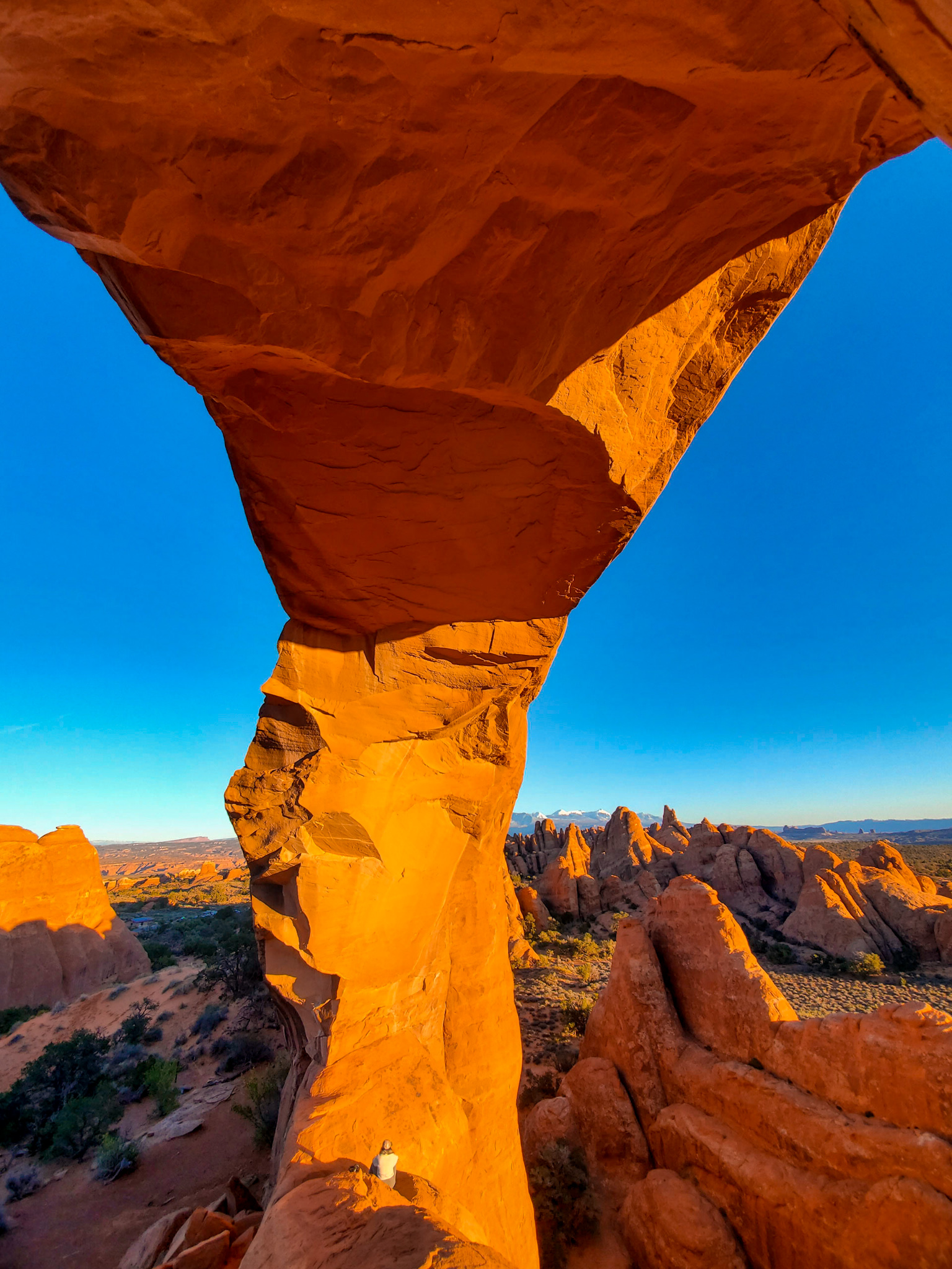 jh.lrm.arches.2021.000444 | Western Management Associates